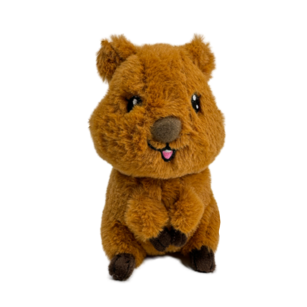 Quokka Plush – Tinywich