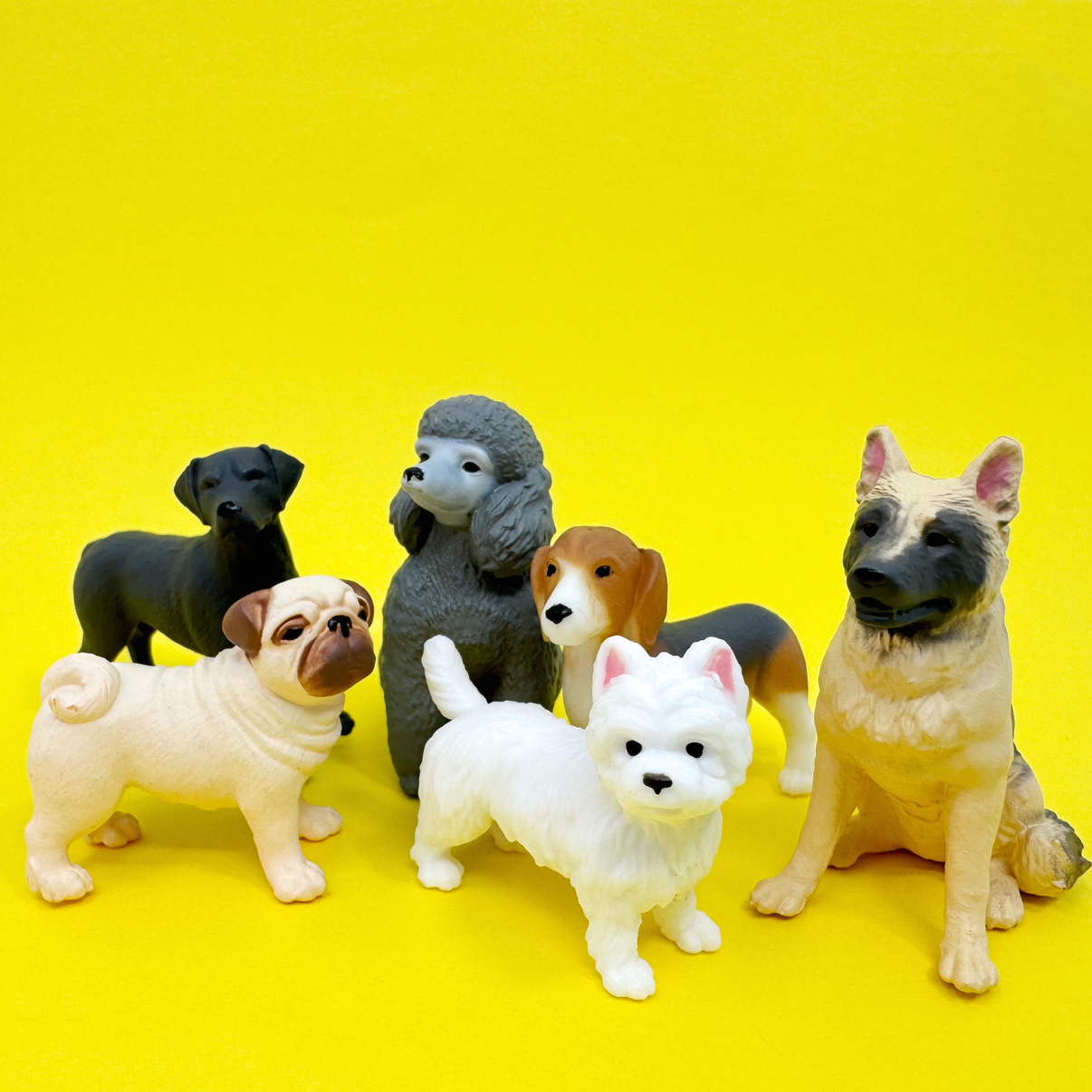 World Famous Dogs Collection – Tinywich